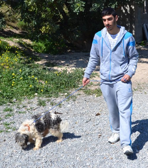 North Cyprus - Walking the dog at Kyrenia Animal Rescue Centre ...