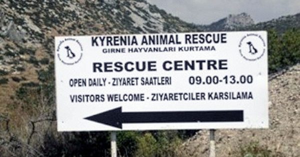Kyrenia Animal Rescue still have a Job Vacancy to fill - CyprusScene.com