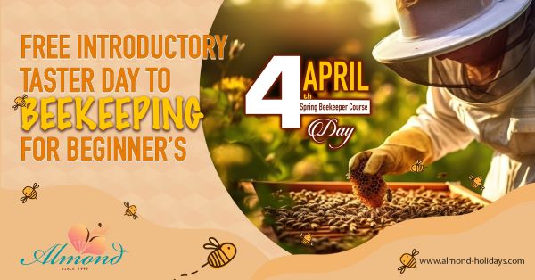 Bee-Keeping Course at Almond Holiday Village - CyprusScene.com